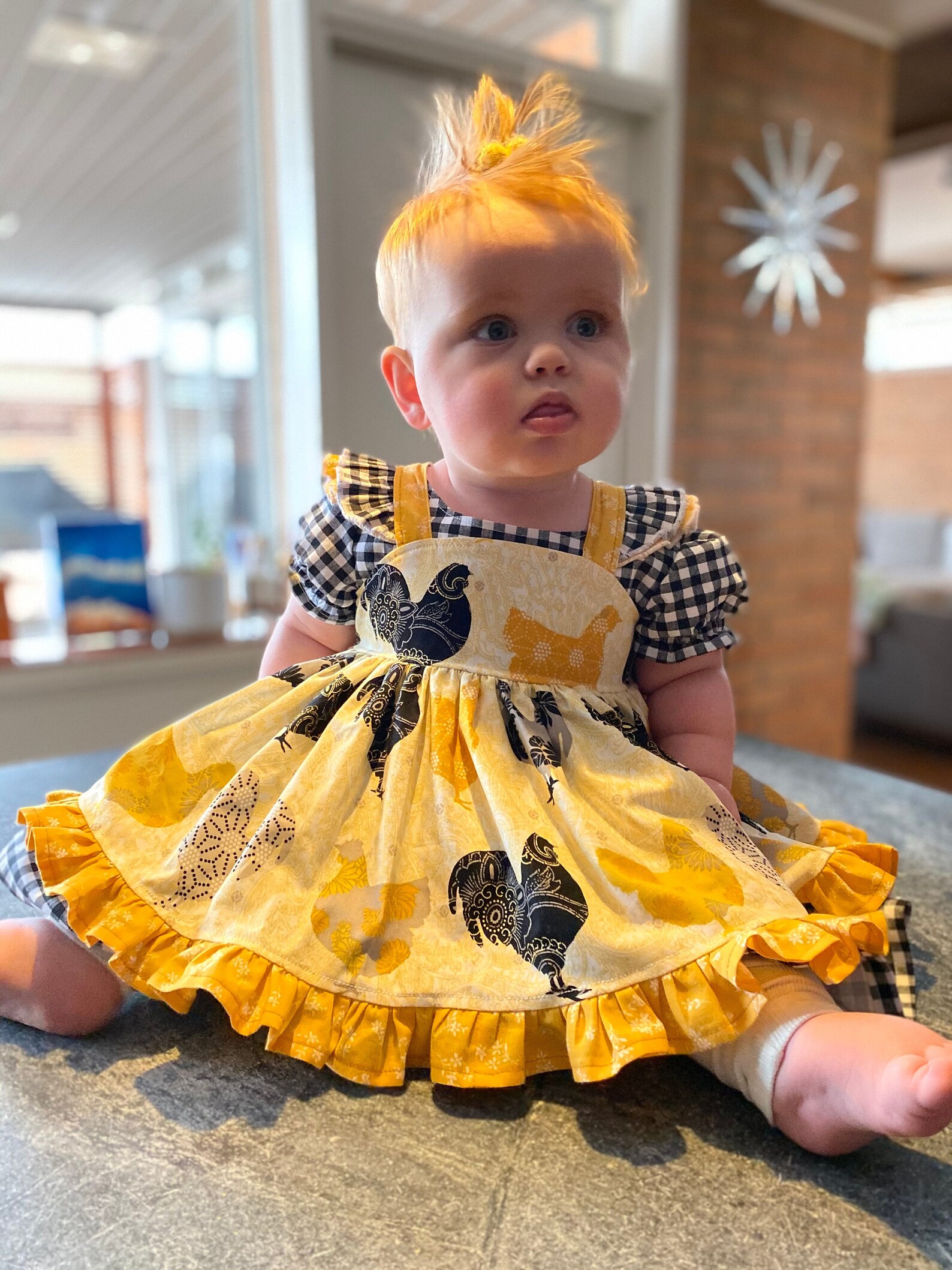 Chicken Dress Chicken Pageant Farm Dress Girl 1st | Etsy