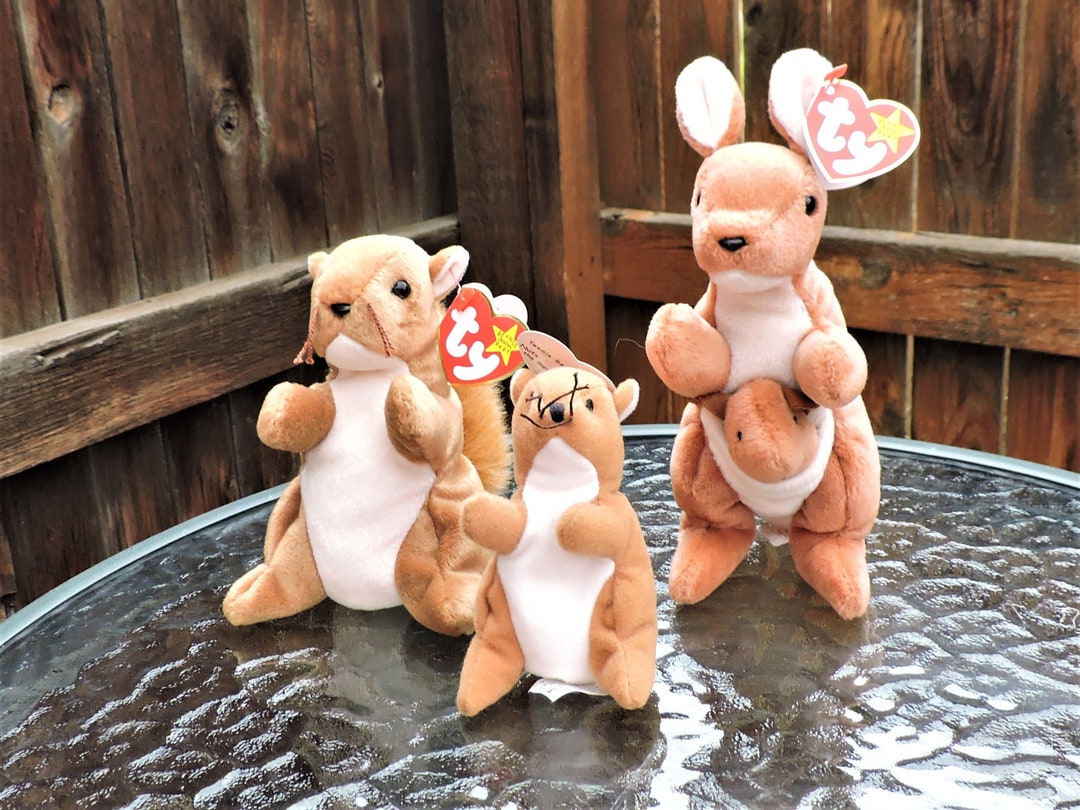 Nuts (tm) Pouch (tm) Ty Inc (r) the Beanie Babies/tennies Collection ...