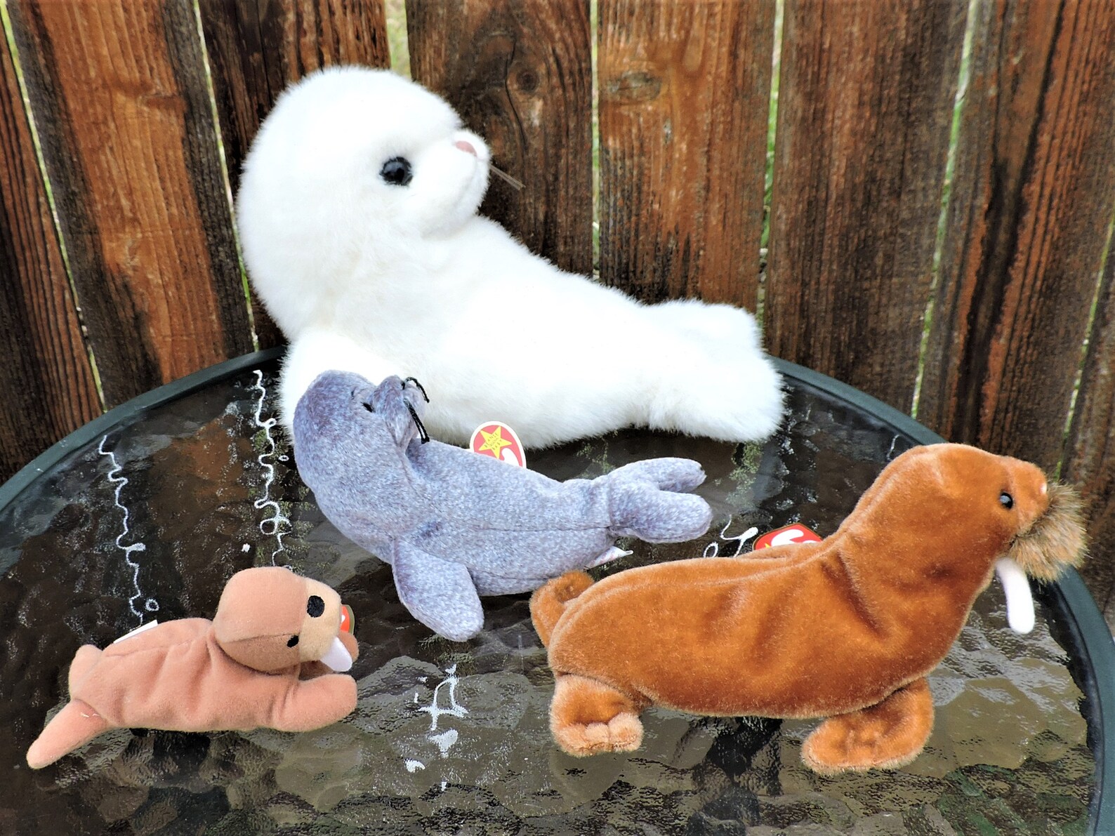 Misty (tm) Paul (tm) Slippery (tm) Ty Inc (r) the Beanie Babies/teenies ...