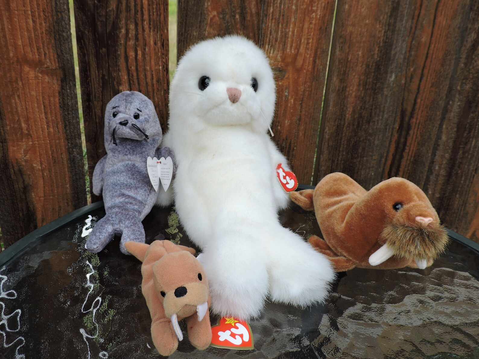 Misty (tm) Paul (tm) Slippery (tm) Ty Inc (r) the Beanie Babies/teenies ...