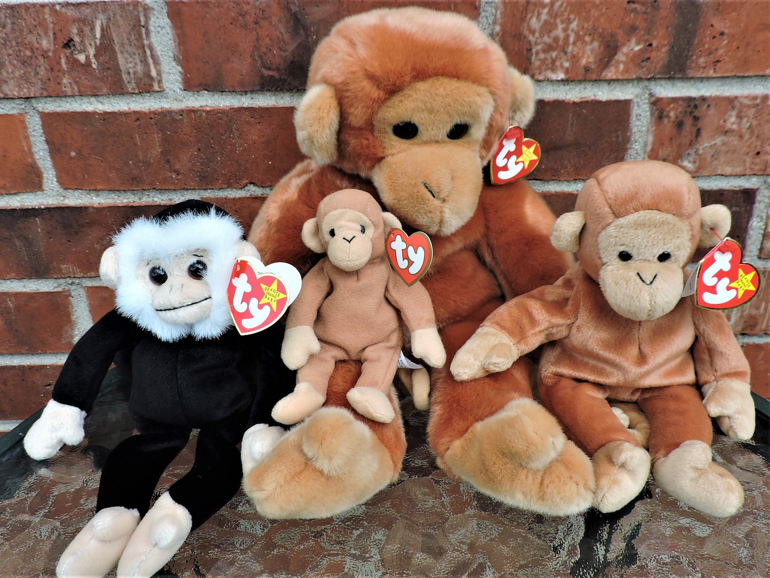 Bongo tm Mooch tm the Beanie Babies/buddies/teenies - Etsy