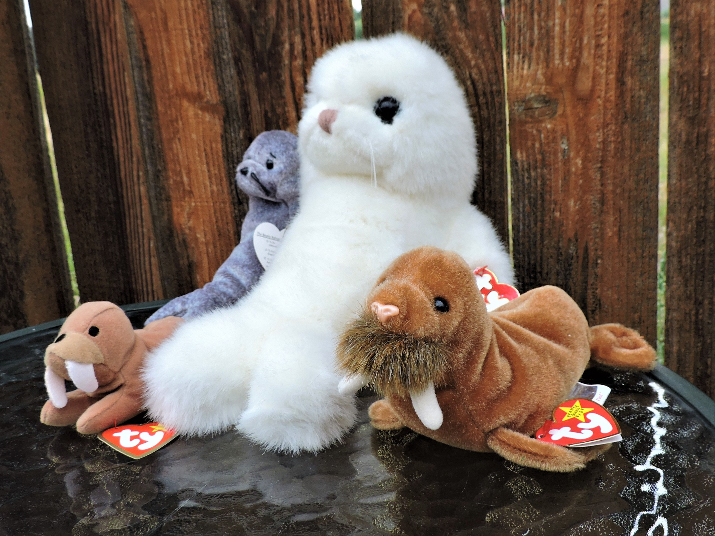 Misty (tm) Paul (tm) Slippery (tm) Ty Inc (r) the Beanie Babies/teenies ...