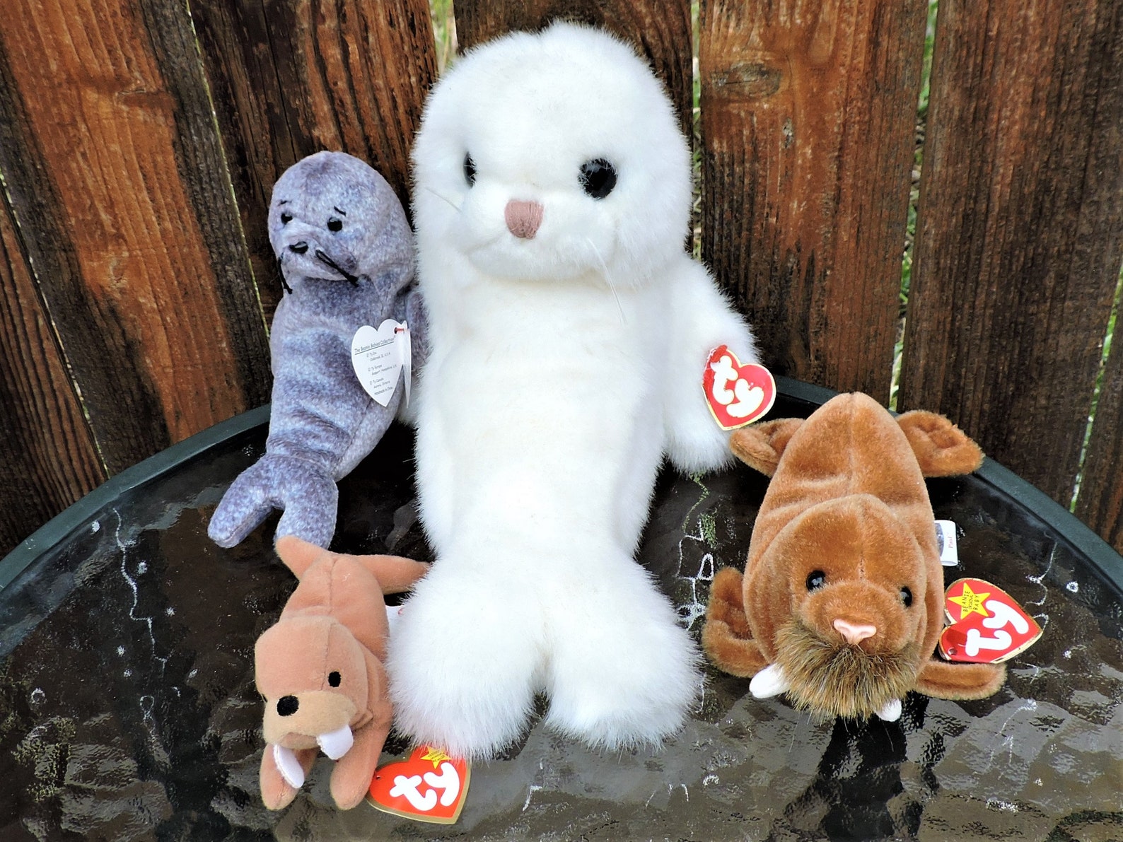 Misty (tm) Paul (tm) Slippery (tm) Ty Inc (r) the Beanie Babies/teenies ...