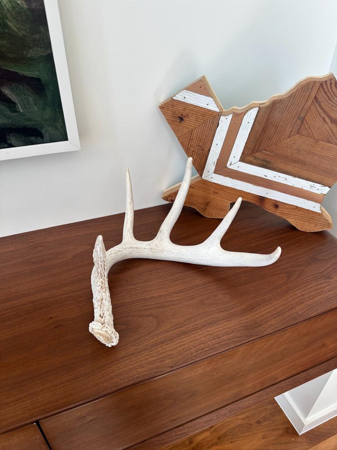 LARGE DEER ANTLER - Real Antler, Beautiful Addition to Any Decor: 5 ...