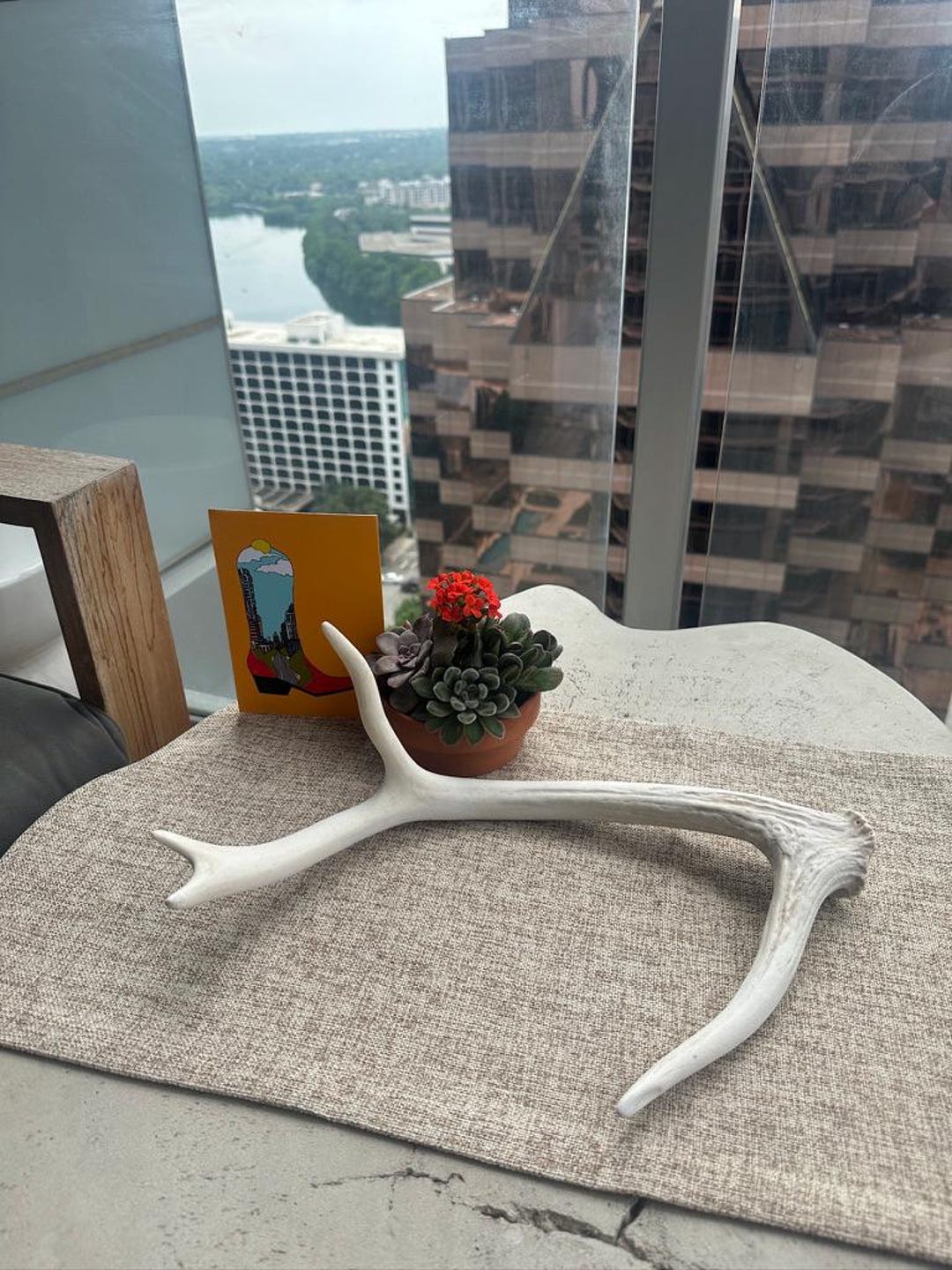 REAL DEER ANTLER - Real Antler, Beautiful Addition to Any Decor: 4 ...