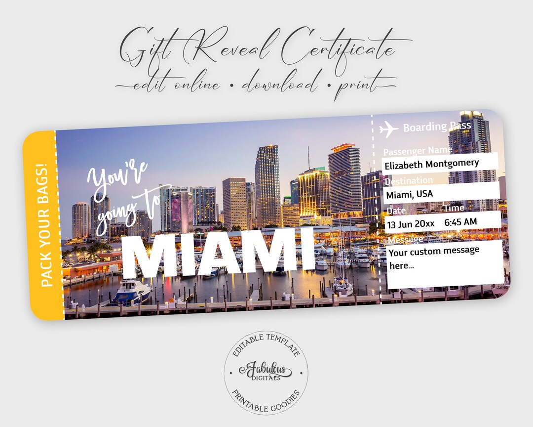 Miami Port Travel Ticket Miami Gift Ticket Custom Airplane - Etsy