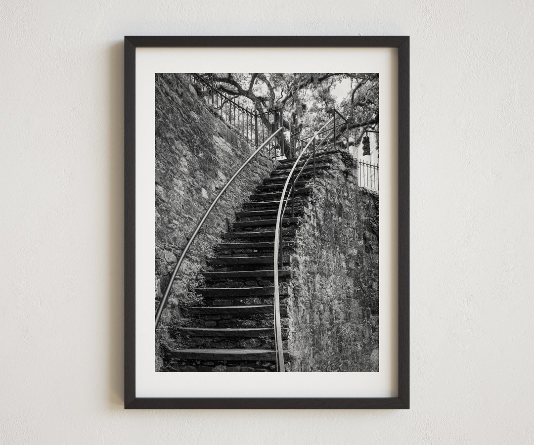 Black and White Savannah Photo, Savannah Georgia, Savannah Steps ...