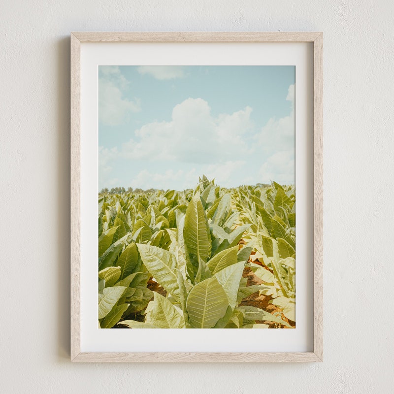 Tobacco Barn Painting - Etsy