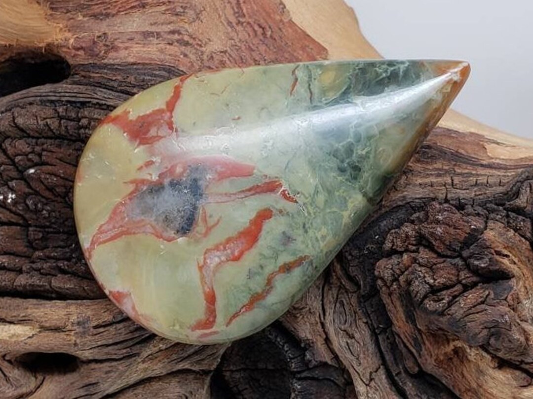 Coprolite Dinosaur Poop Designer Cabochon - Etsy