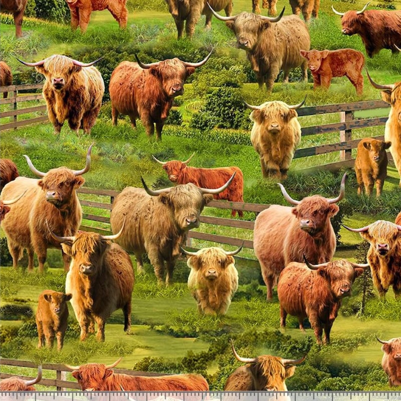 Highland Cow Fabric - Etsy