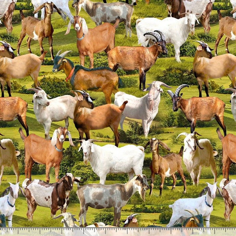 Goat Fabric - Etsy