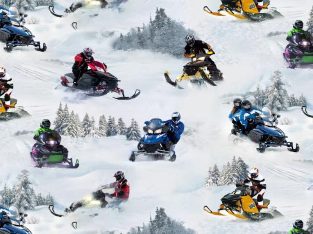 In Motion - Snowmobiles - (looks White but is Pastel Blue) - by ...