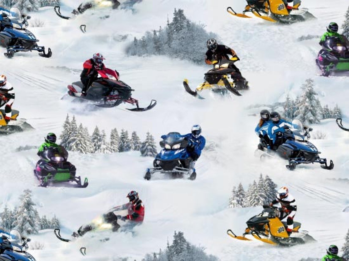 In Motion Snowmobiles looks White but is Pastel Blue | Etsy