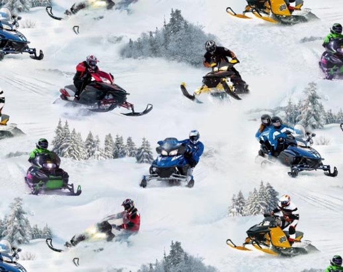 In Motion - Snowmobiles - (looks White but is Pastel Blue) - by ...