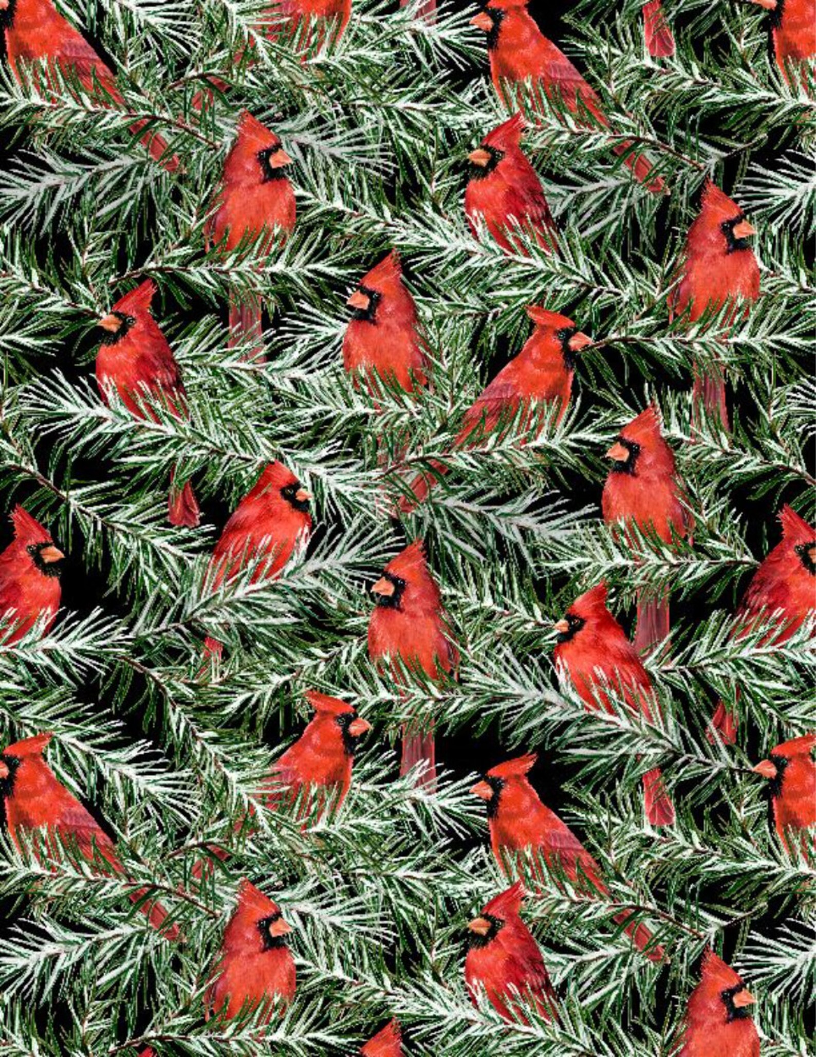 Country Cardinals - Packed Cardinals Black - #3059 20054 937 - by ...
