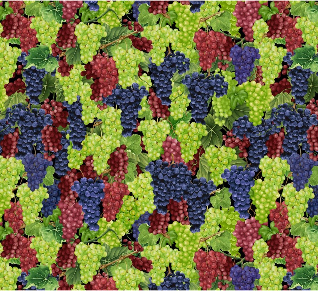 Packed Wine Grapes - #WINE-CD1933 - by Timeless Treasures - Red, Purple ...