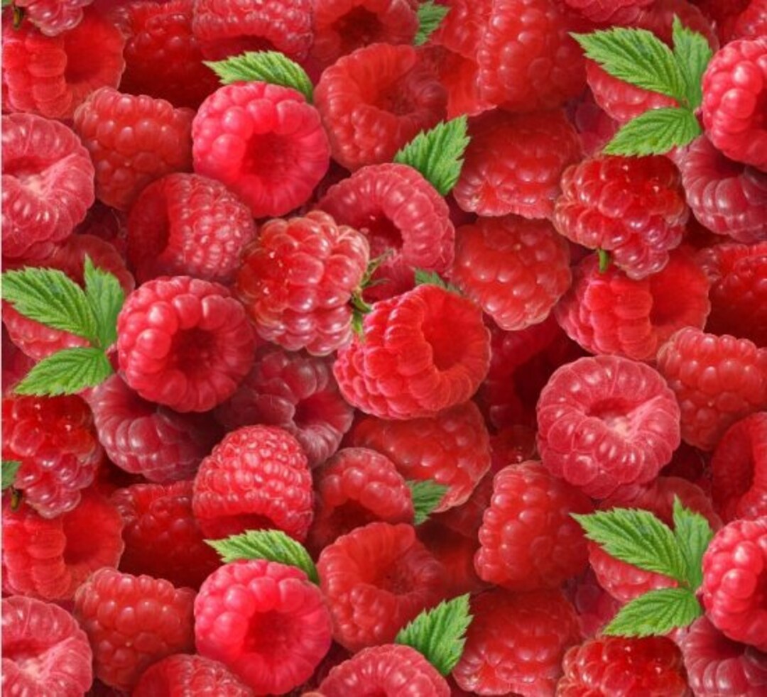 Food Festival Raspberries Pattern berry Good 154 Elizabeth's Studio 100 ...