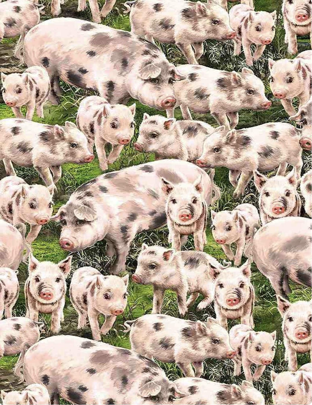 CUSTOM BOXER SHORTS, Made to Order - Pigs - Choose Size & Pattern - Etsy