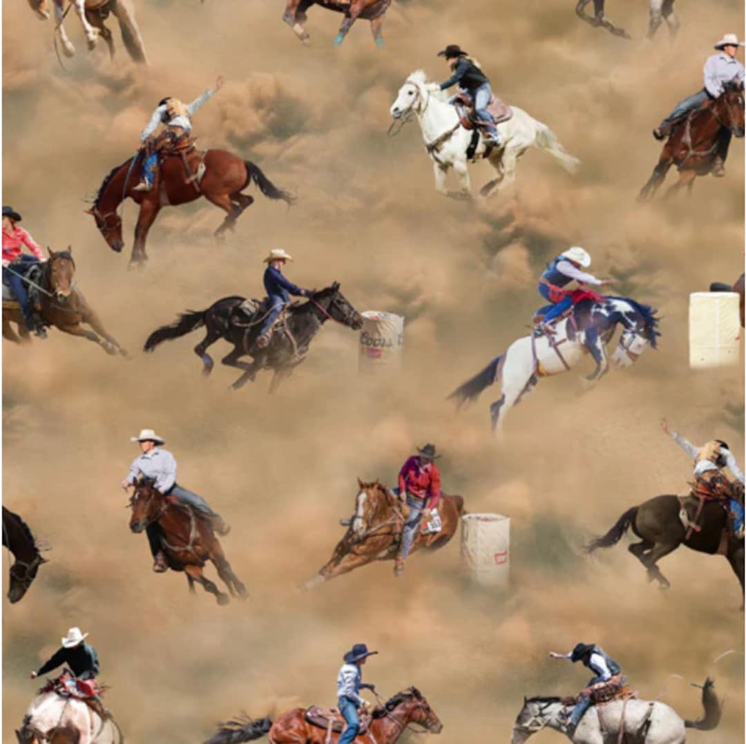 Rip Roaring Rodeo - Barrel Racing / Bronco Busting - HORSES - #1150-06 ...