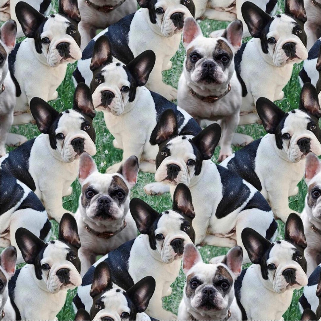CUSTOM BOXER SHORTS, Made to Order - French Bulldogs - Gift for Dog ...