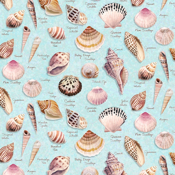 Seashell Fabric - Etsy
