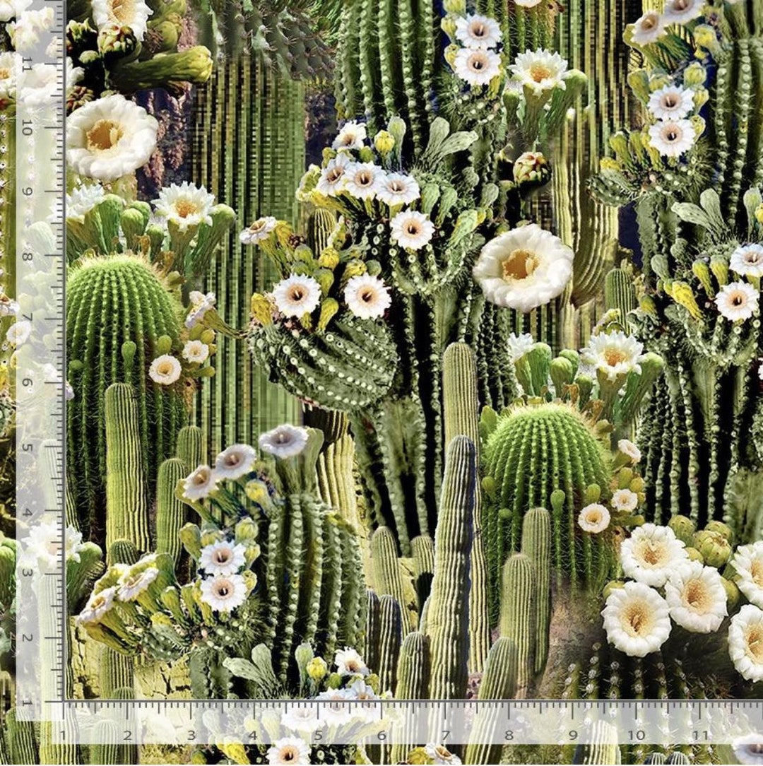 Flowering Saguaro Cactus - Pattern # West CD3345 Cactus - by Timeless ...