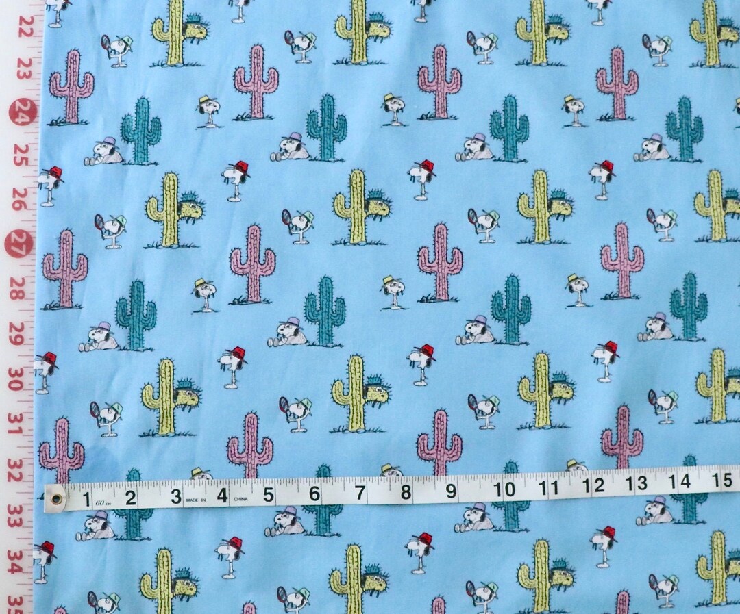 Peanuts Everyday - Spike (snoopy's Brother) and Cacti - Springs ...