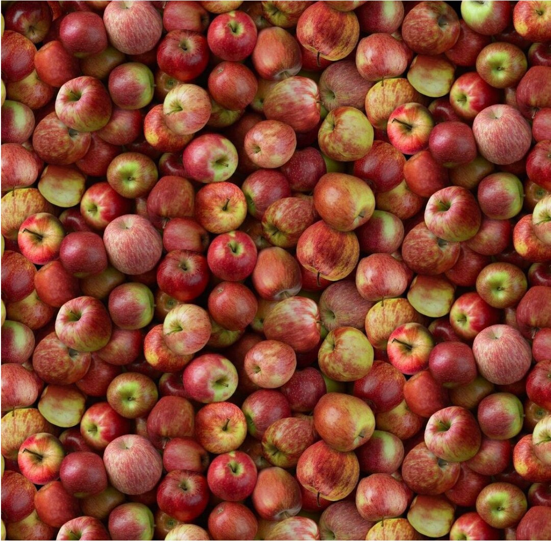 Packed Apples - by Timeless Treasures - Pattern #FRUIT-CD2942 RED - 100 ...