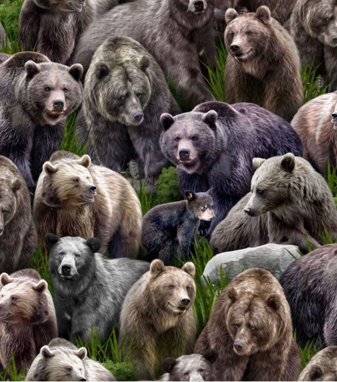 Wilderness - #59-7411 Multi - Bears - by Oasis Fabrics - Wildlife - Big ...