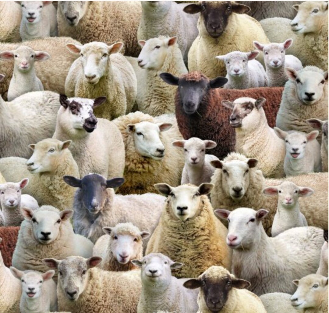 Packed Sheep - Farm Animals by Elizabeth's Studio - #600 - 100% Cotton ...