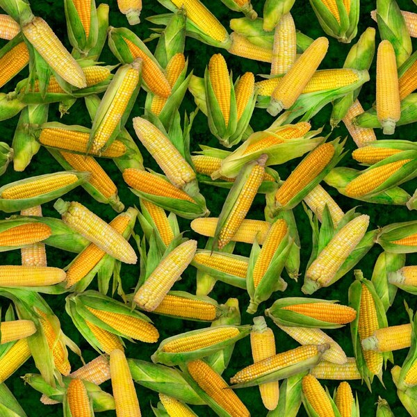 Corn - Etsy