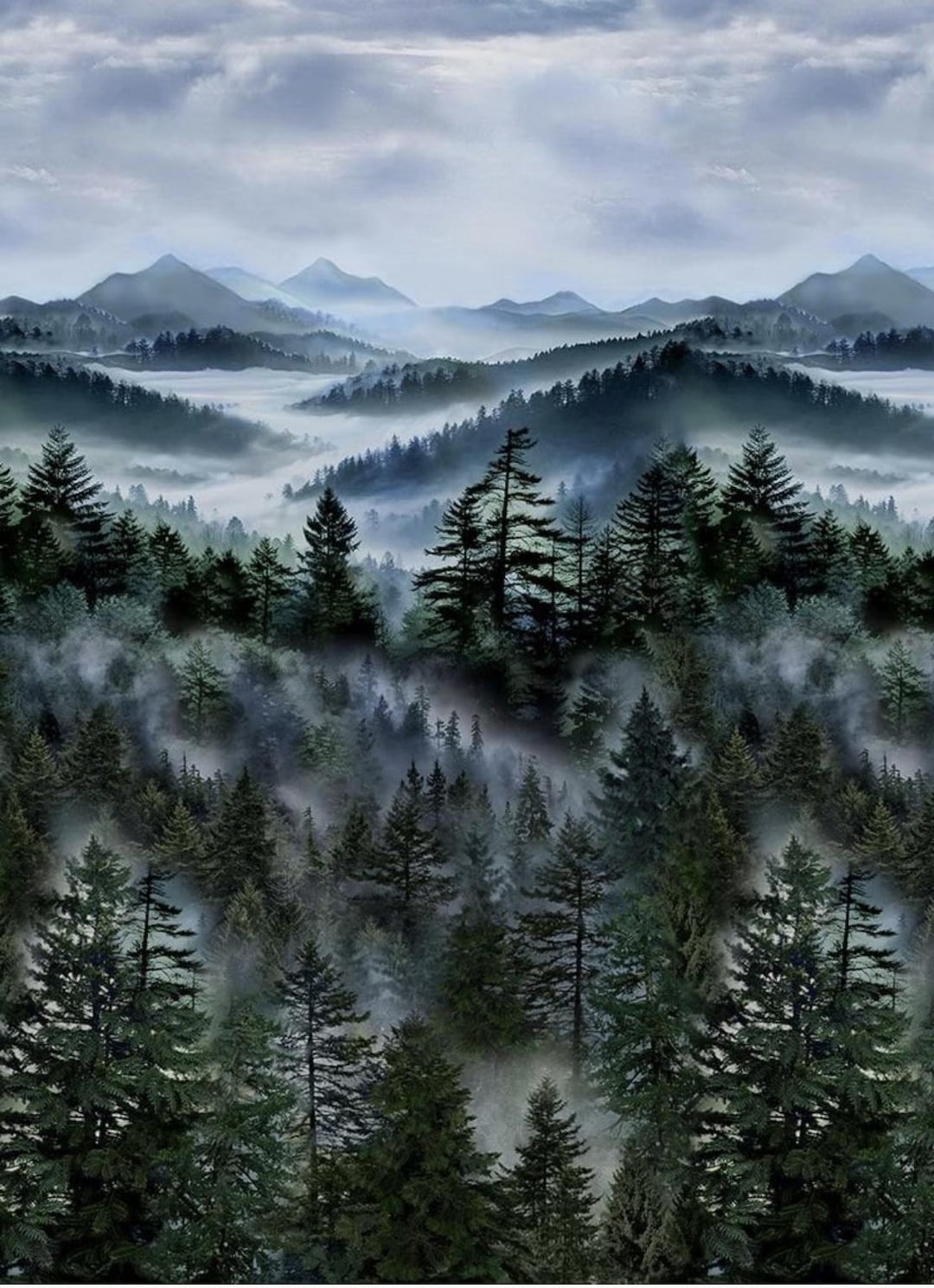Scenic Nature Panel - CD3527 Multi - Misty Mountain Panel 24" - by ...