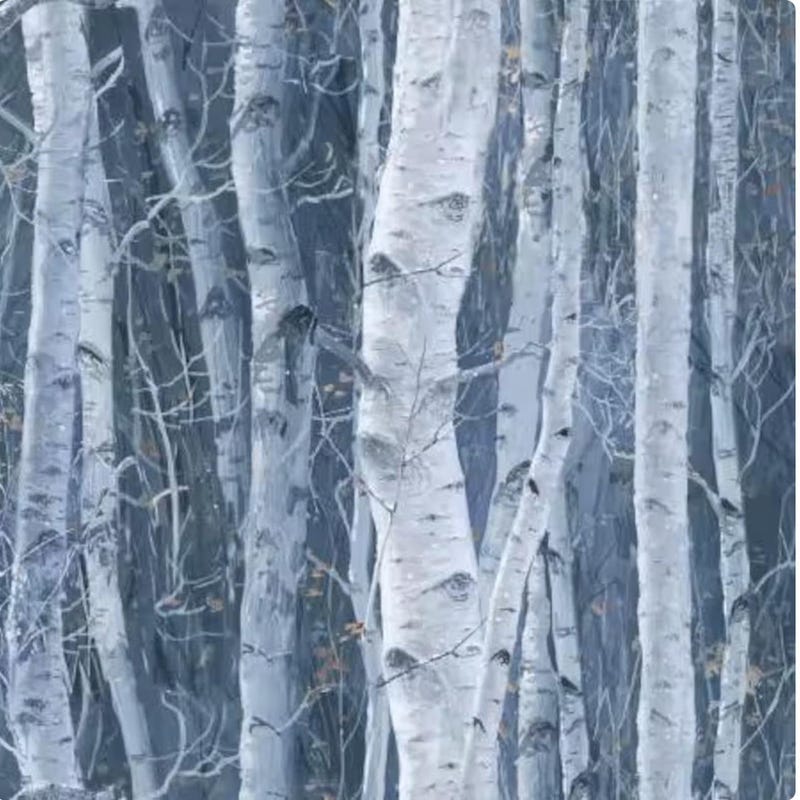 Birch Tree Fabric - Etsy