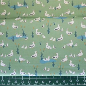 Farm Days -ducks - by Dashwood Studio for Quiltex - Pattern # FARM 1803 ...