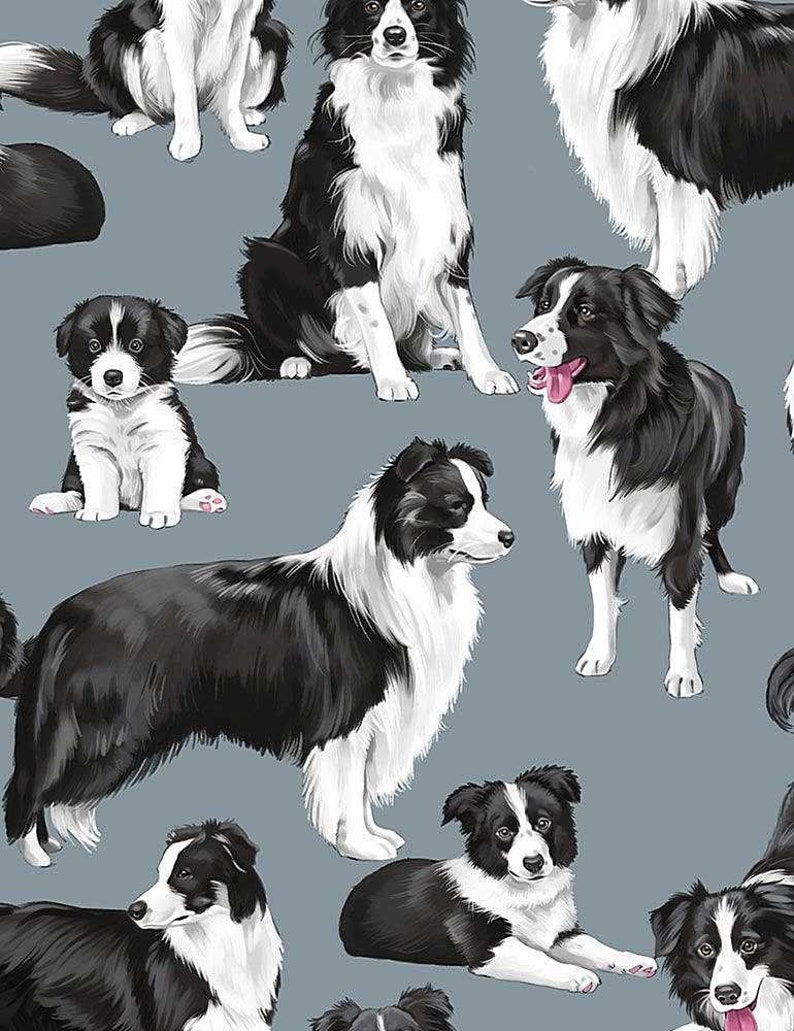 Border Collies - by Timeless Treasures - #7365 - Dogs - Pure Breed ...