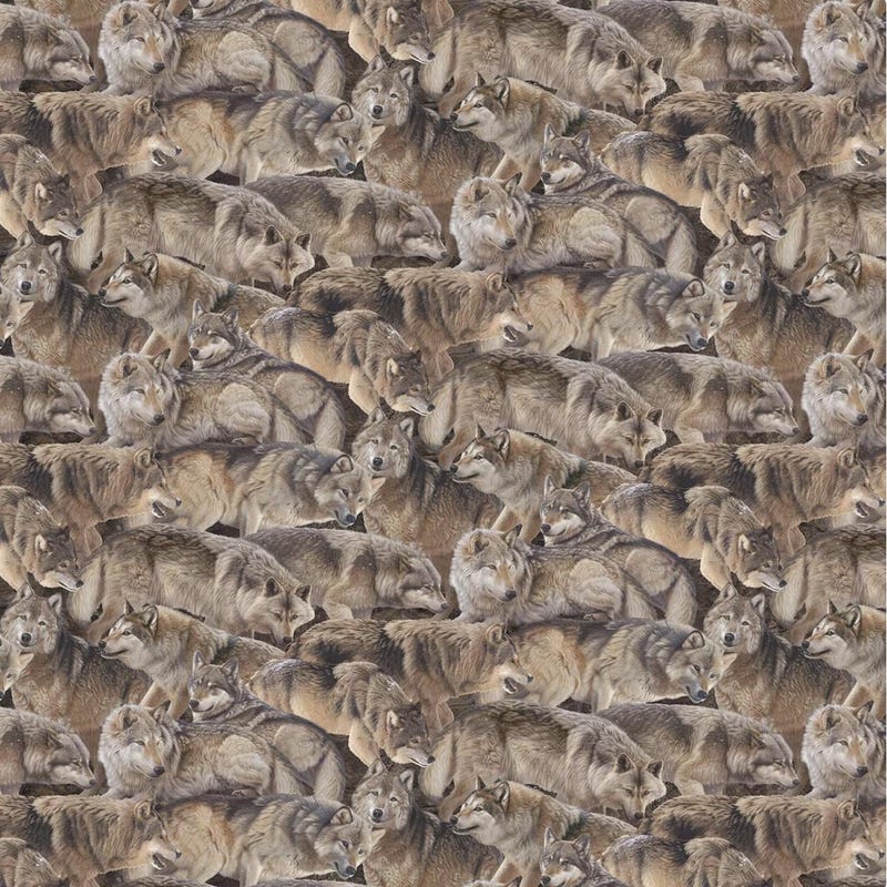 Mens Wolf Boxers - Etsy