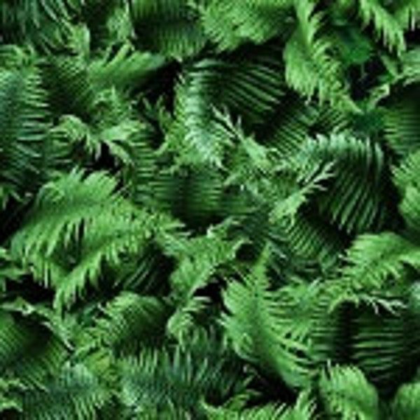 Fern Print Cotton Fabric - Etsy