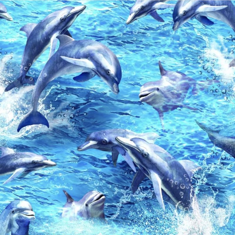 Dolphin Fabric - Etsy