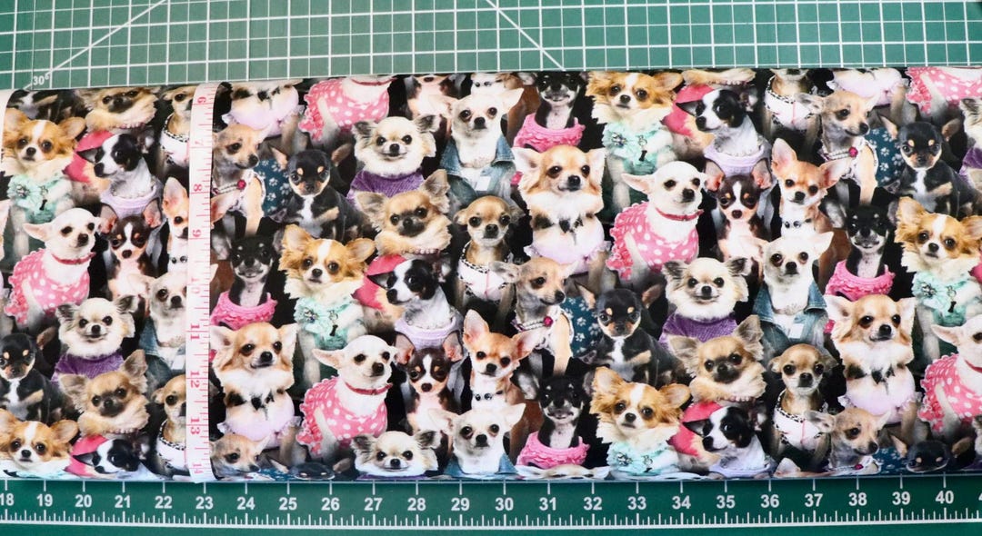 Best Friend - #707 Multi - by Elizabeth's Studio - Chihuahuas - 100% ...