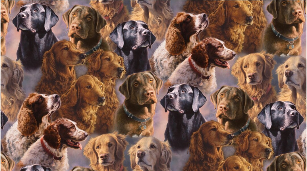 Dog Portraits - # AS-0097-2C-1 Multi - Digital Print - by David ...