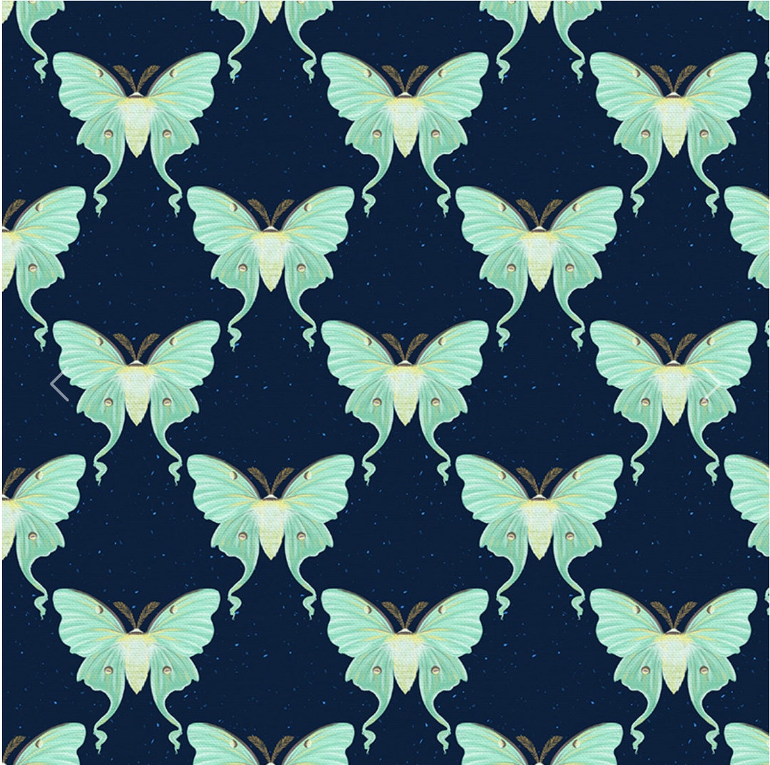 Backyard Bugs - Moths on Navy - #12023693 - by Paintbrush Studio - 100% ...