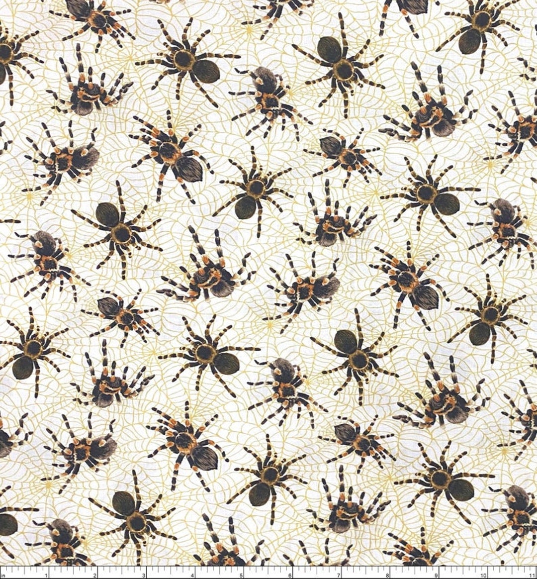 You Bug Me Spiders Tarantulas Ecru Pattern 120-13781 by Paintbrush ...