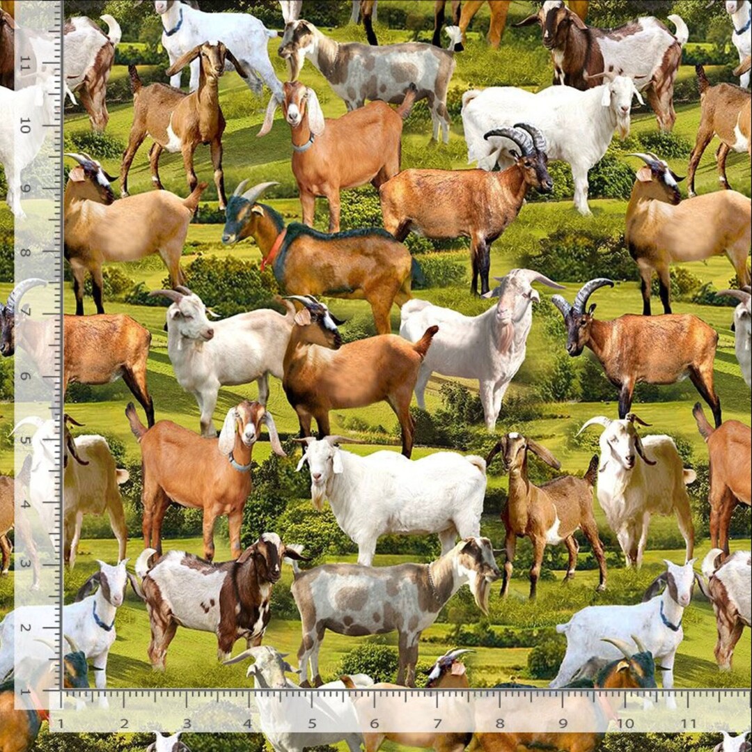 Farm Animals - Goats - by Timeless Treasures - #FARM-CD3078 GREEN - 100 ...