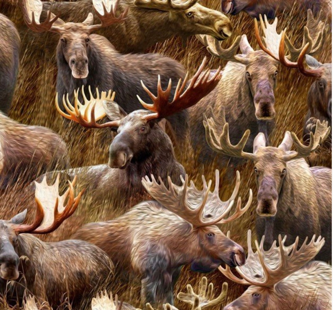 Wilderness - #59-7401 Multi - Moose - by Oasis Fabrics - American Wildlife - Big Game Hunting ...
