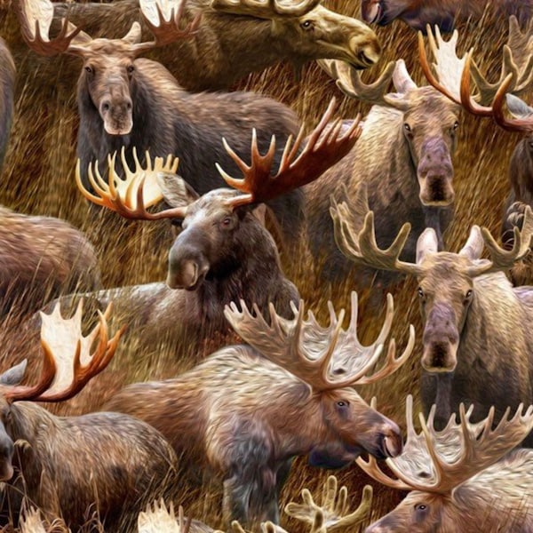 Moose Fabric - Etsy