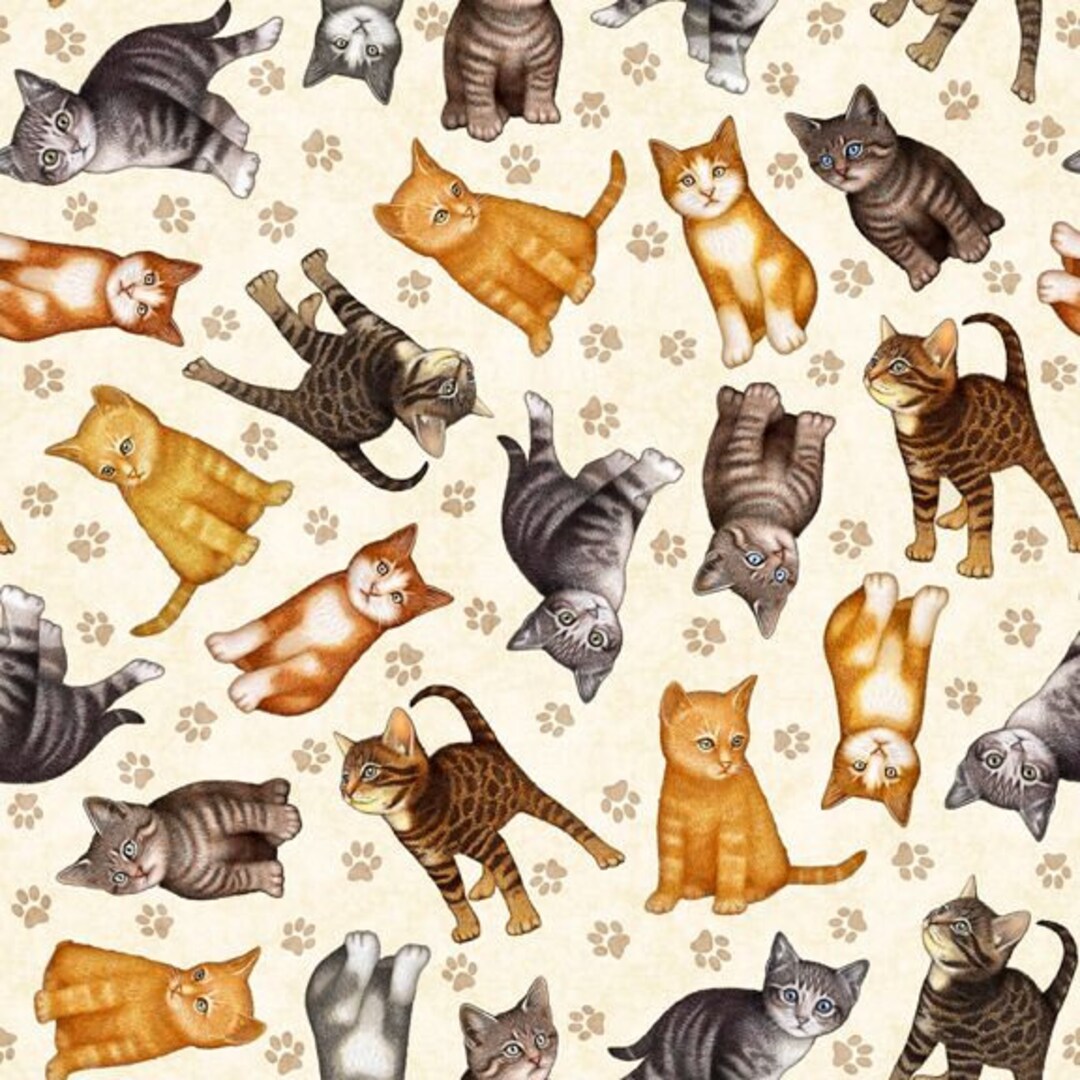 Felicity - Kitten Toss - # 28490 -E - by Quilting Treasures, 100% ...