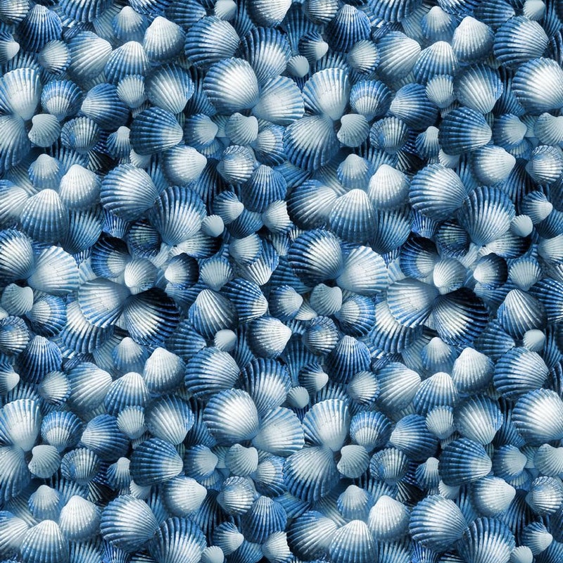 Blue Seashells - Etsy