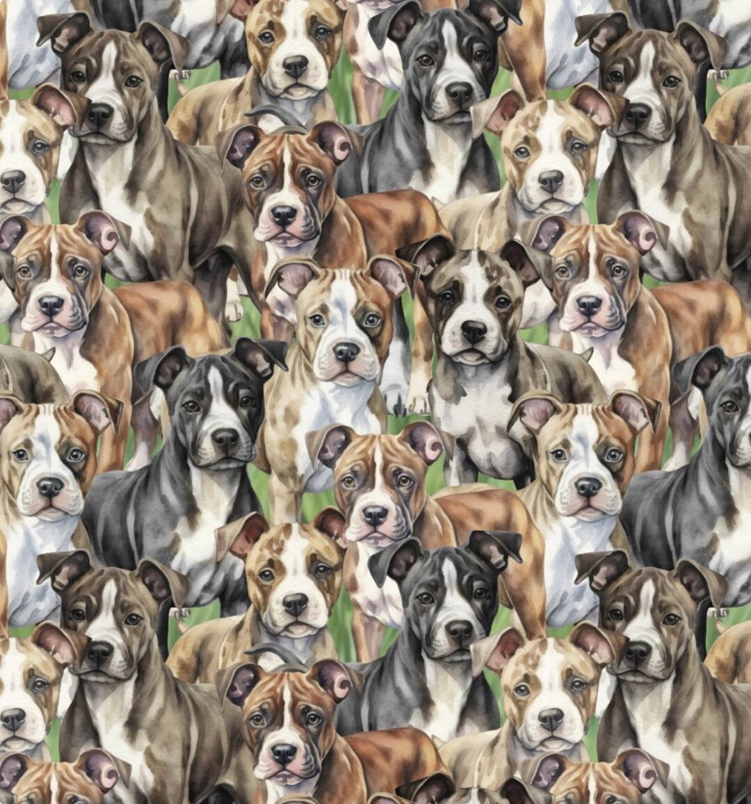 CUSTOM BOXER SHORTS, Made to Order, Pit Bulls - Gift for Dog Owner ...