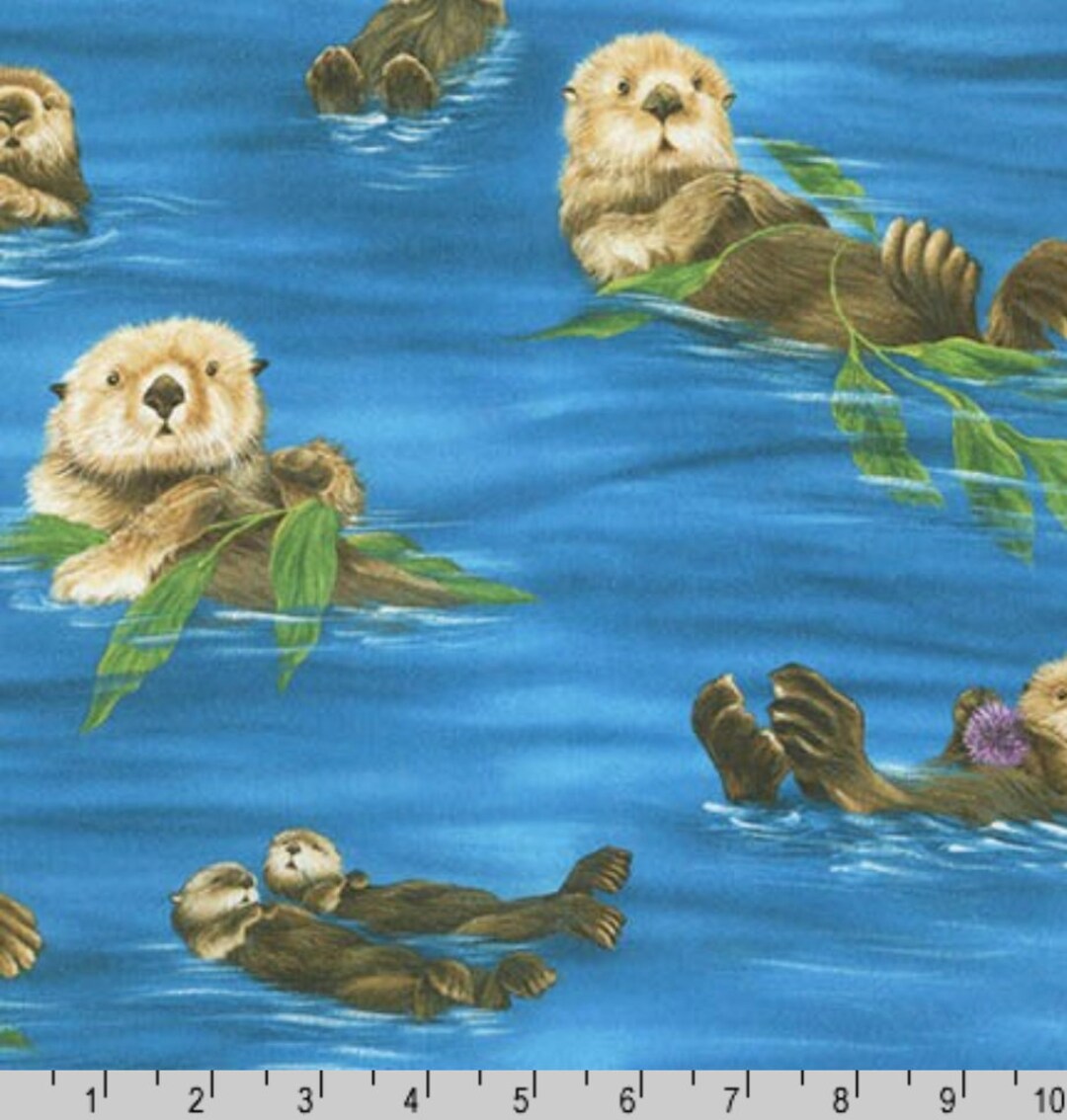 The Last Frontier - Otters in Water - #SRKD-6745-268 Nature - by Robert ...