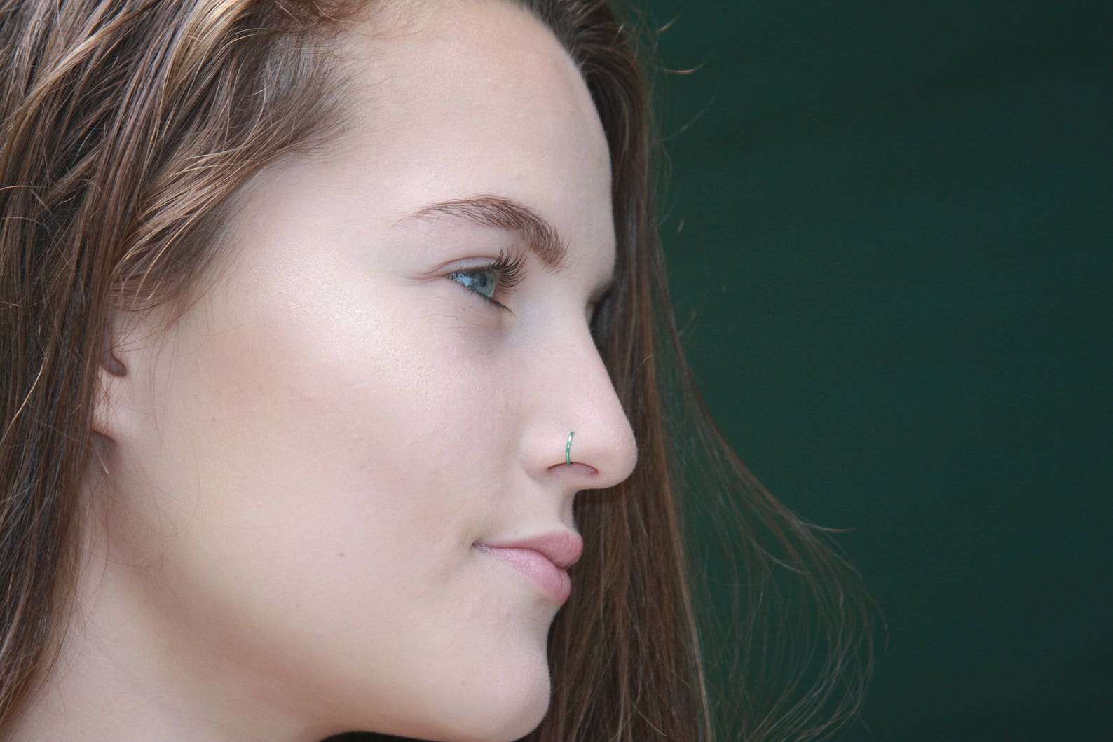 Fake Nose Ring Clip on Nose Ring Faux Nose Ring Hoop - Etsy